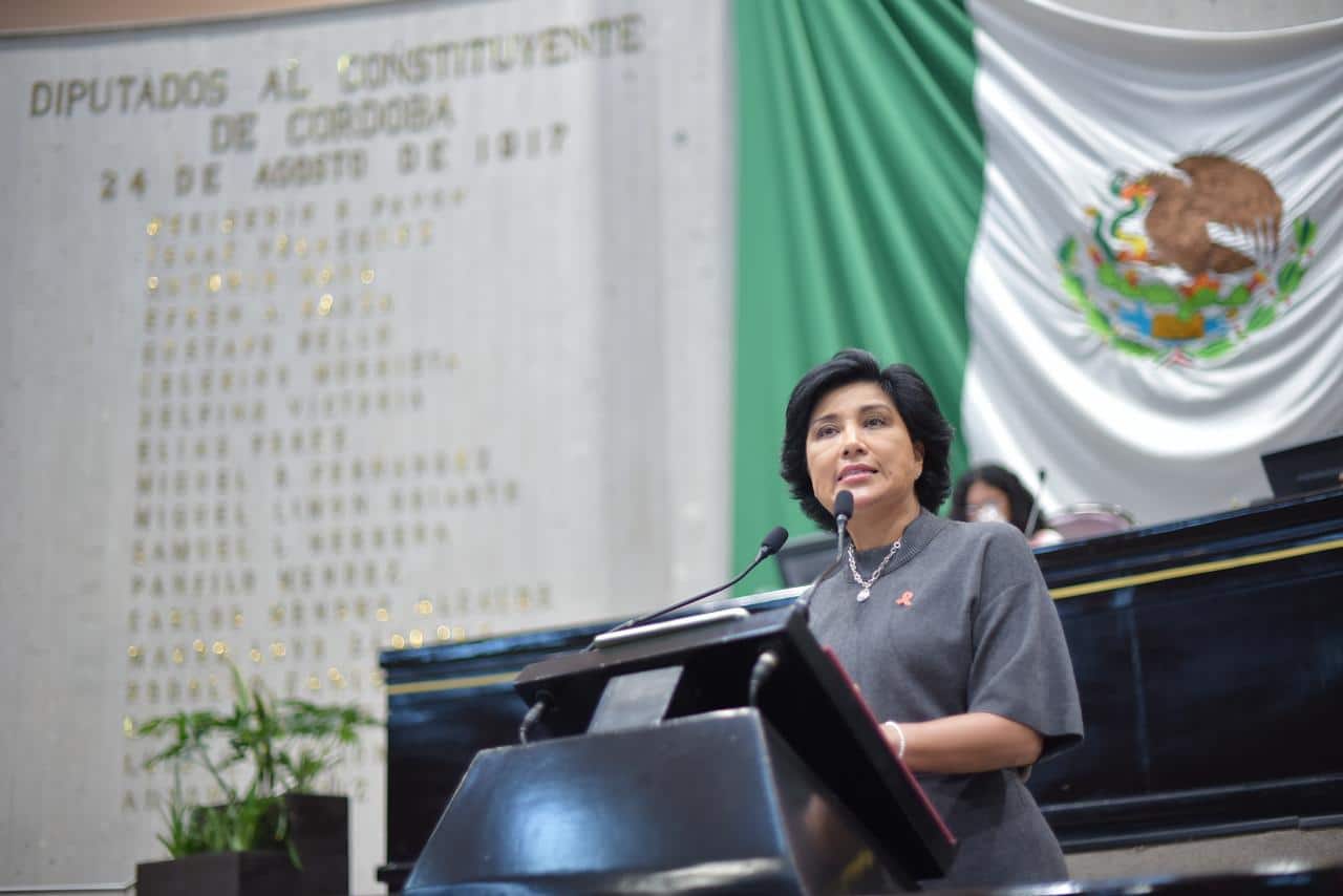 Llama Elizabeth Morales a fortalecer el Instituto Veracruzano de las ...